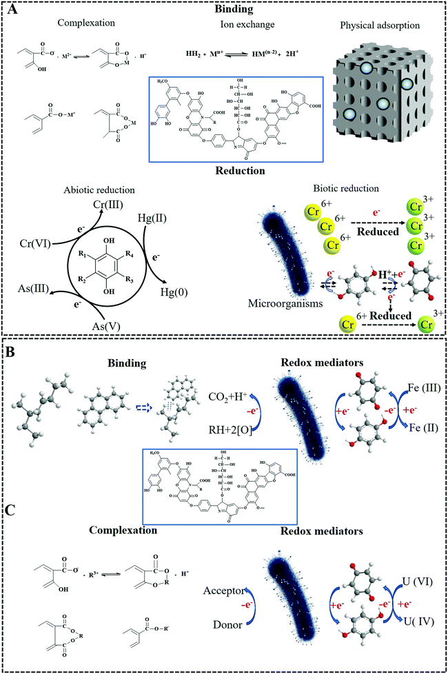 Natural and artificial humic substances to manage minerals, ions, water ...
