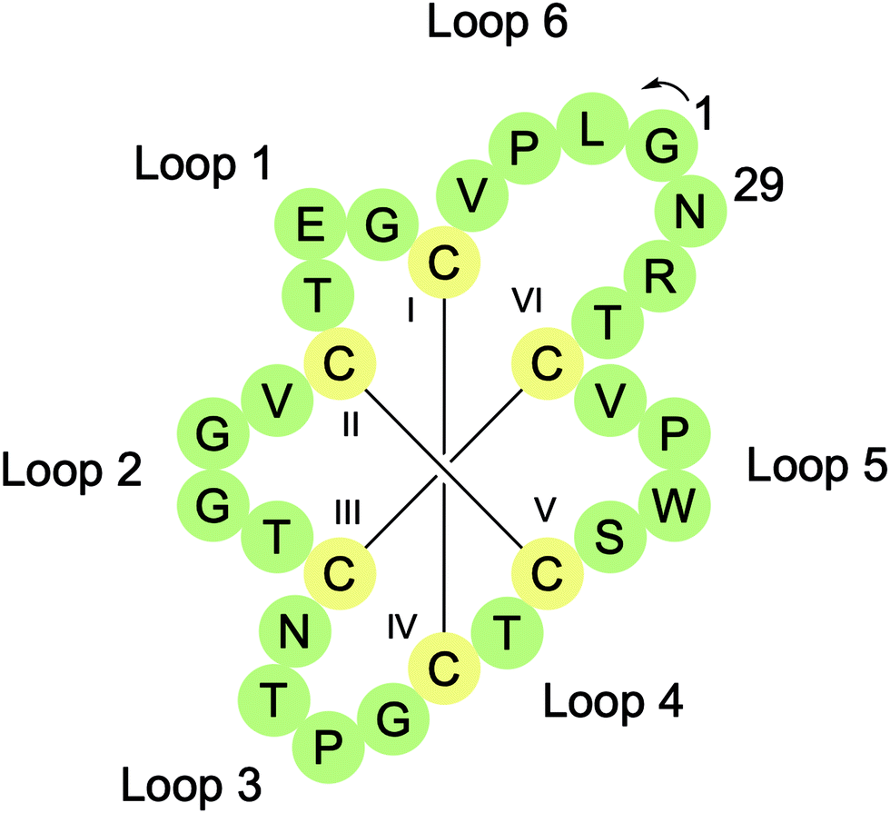 The role of chemical synthesis in developing RiPP antibiotics ...