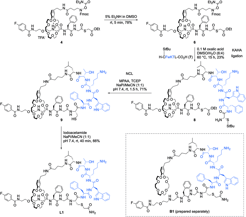 The role of chemical synthesis in developing RiPP antibiotics ...