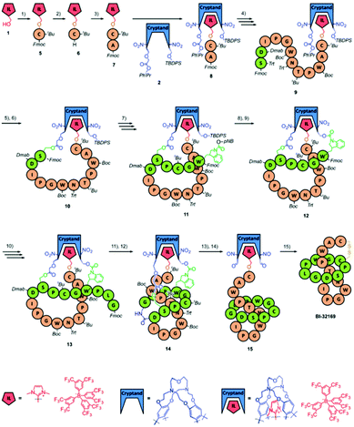 The role of chemical synthesis in developing RiPP antibiotics ...