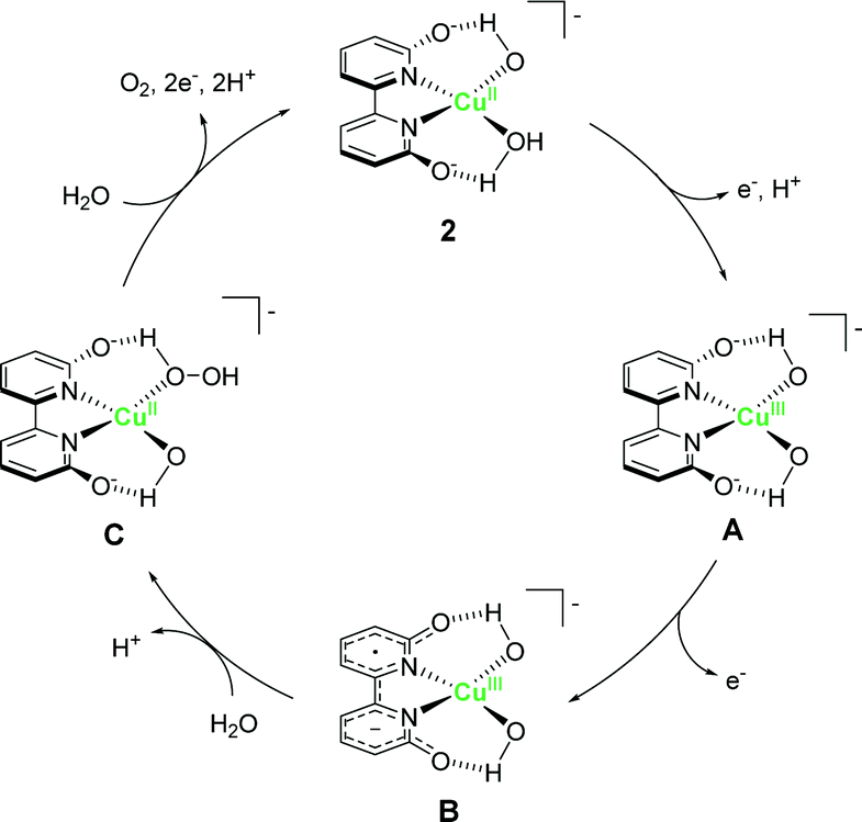 Design of molecular water oxidation catalysts with earth-abundant metal ...