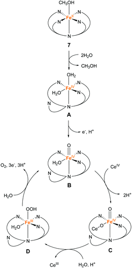 Design of molecular water oxidation catalysts with earth-abundant metal ...