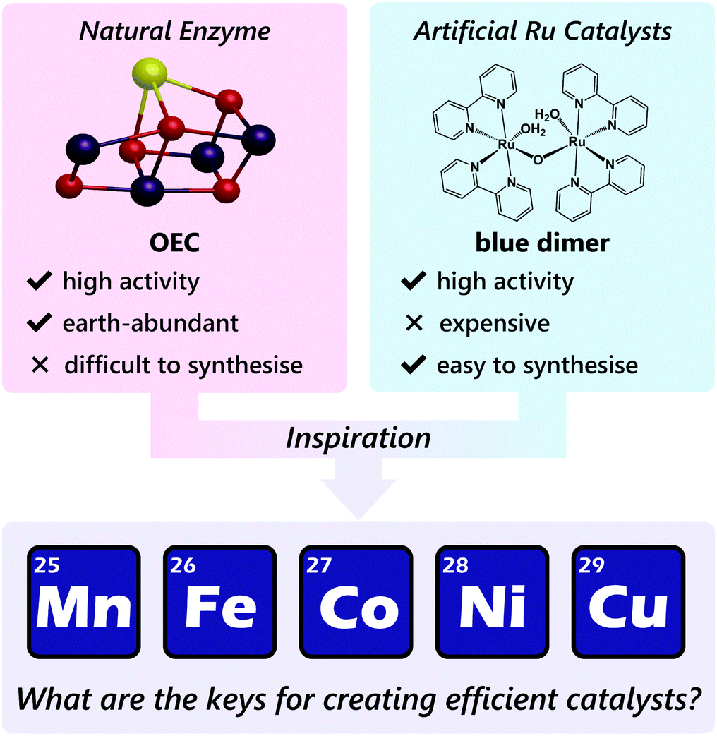 Design of molecular water oxidation catalysts with earth-abundant metal ...