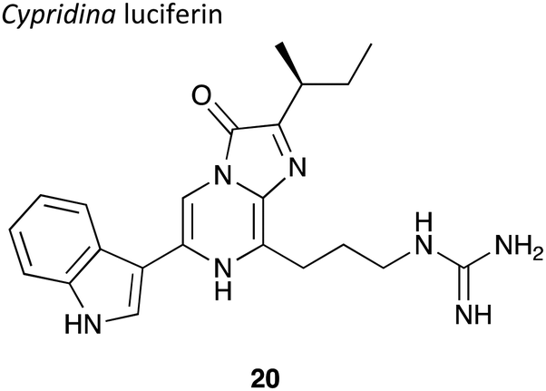 Applications of bioluminescence in biotechnology and beyond - Chemical ...