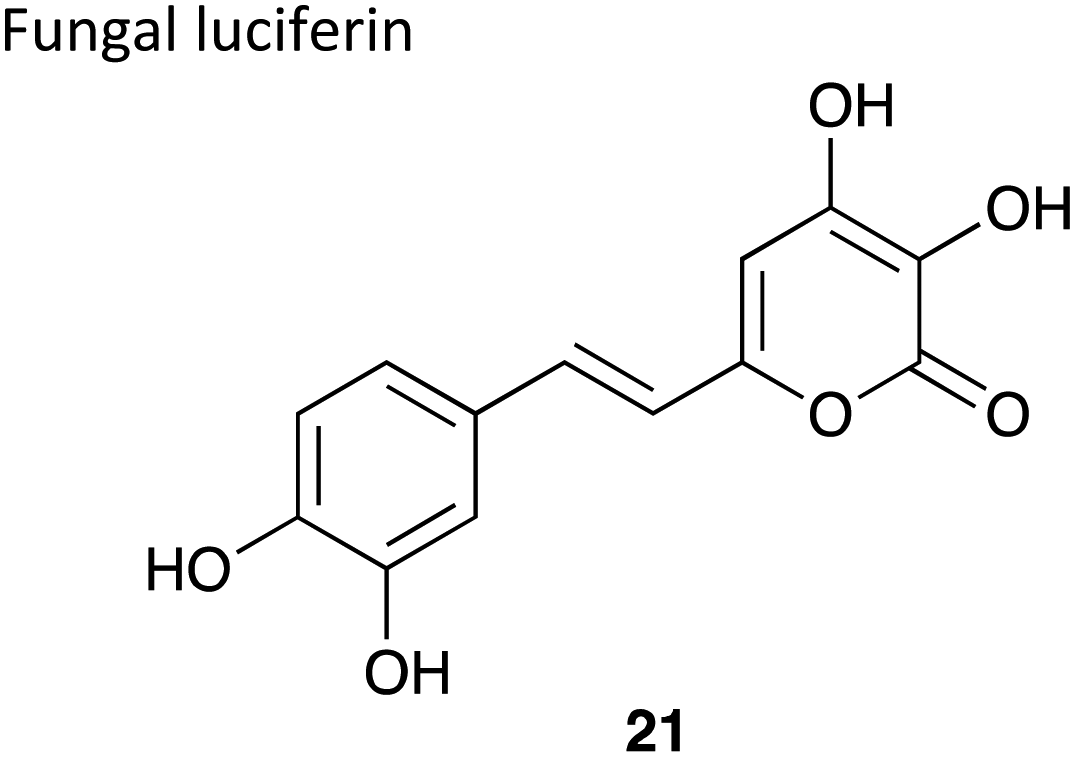 Applications of bioluminescence in biotechnology and beyond - Chemical ...