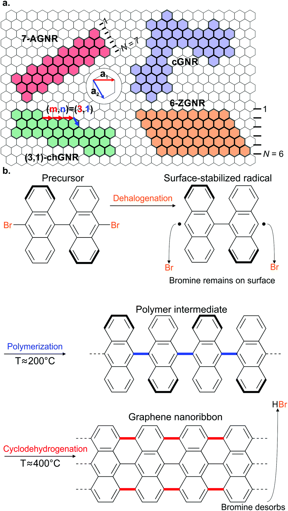 Atomically precise graphene nanoribbons: interplay of structural and electronic properties ...