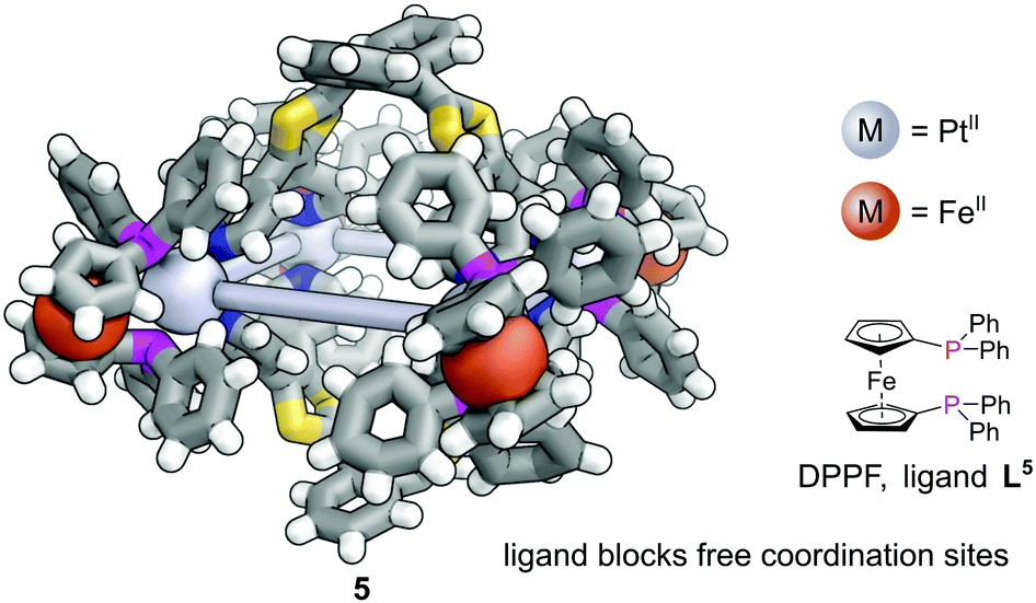 The chemistry of phosphines in constrained, well-defined ...