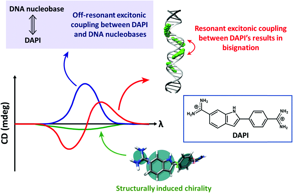 Emergent chiroptical properties in supramolecular and plasmonic ...