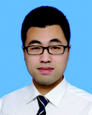 Emerging heterogeneous catalysts for biomass conversion: studies of the ...