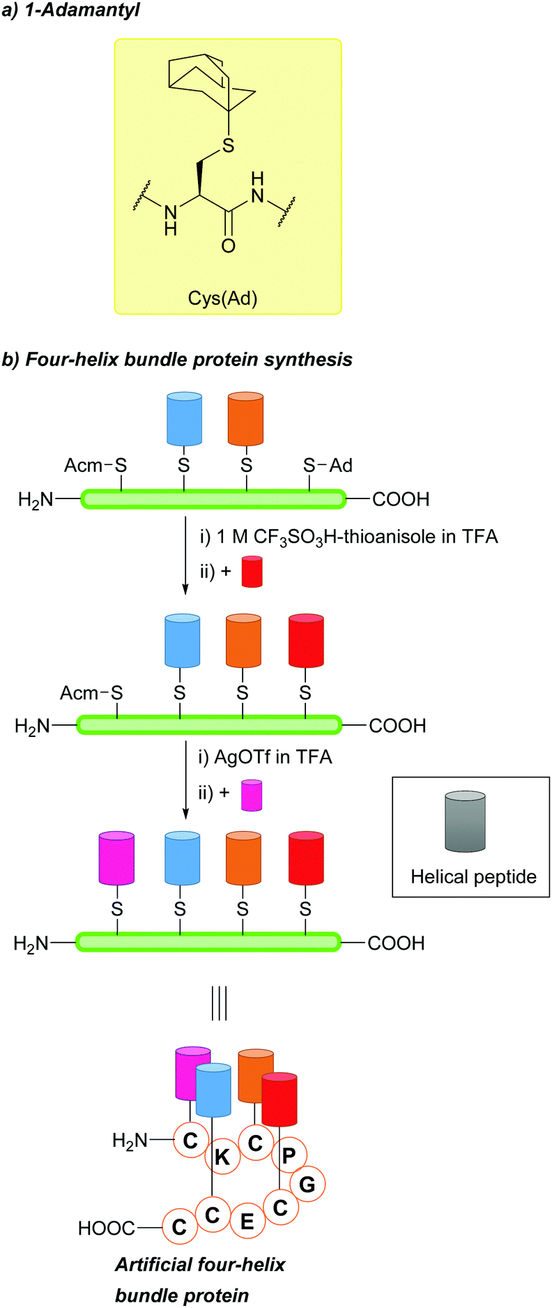 Cysteine protecting groups: applications in peptide and protein science ...