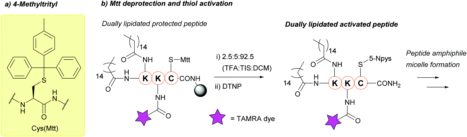 Cysteine protecting groups: applications in peptide and protein science ...