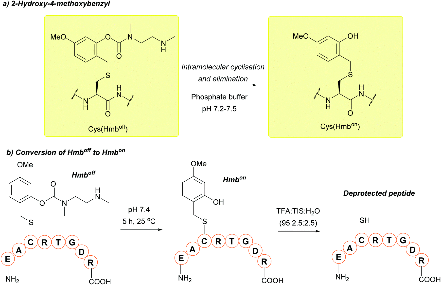 Cysteine protecting groups: applications in peptide and protein science ...