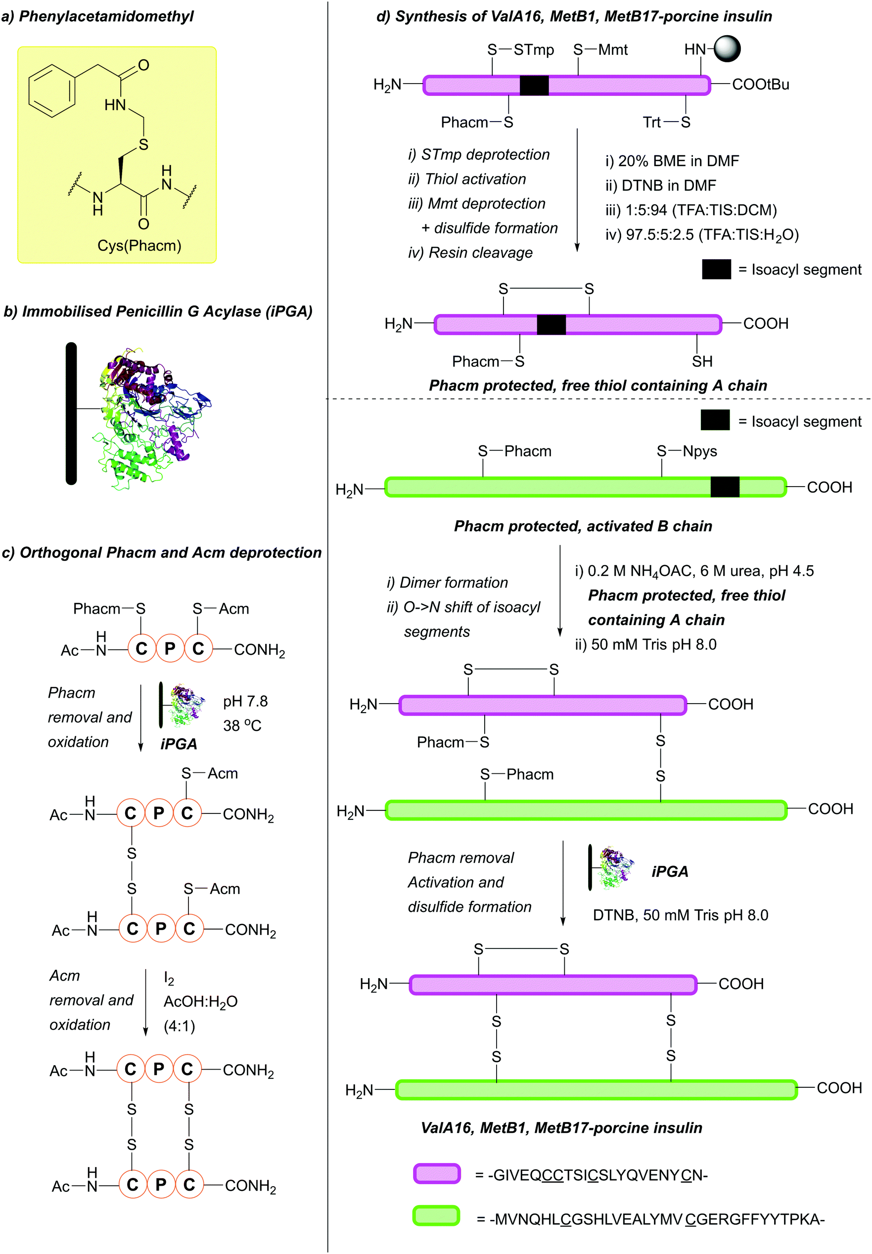 Cysteine protecting groups: applications in peptide and protein science ...
