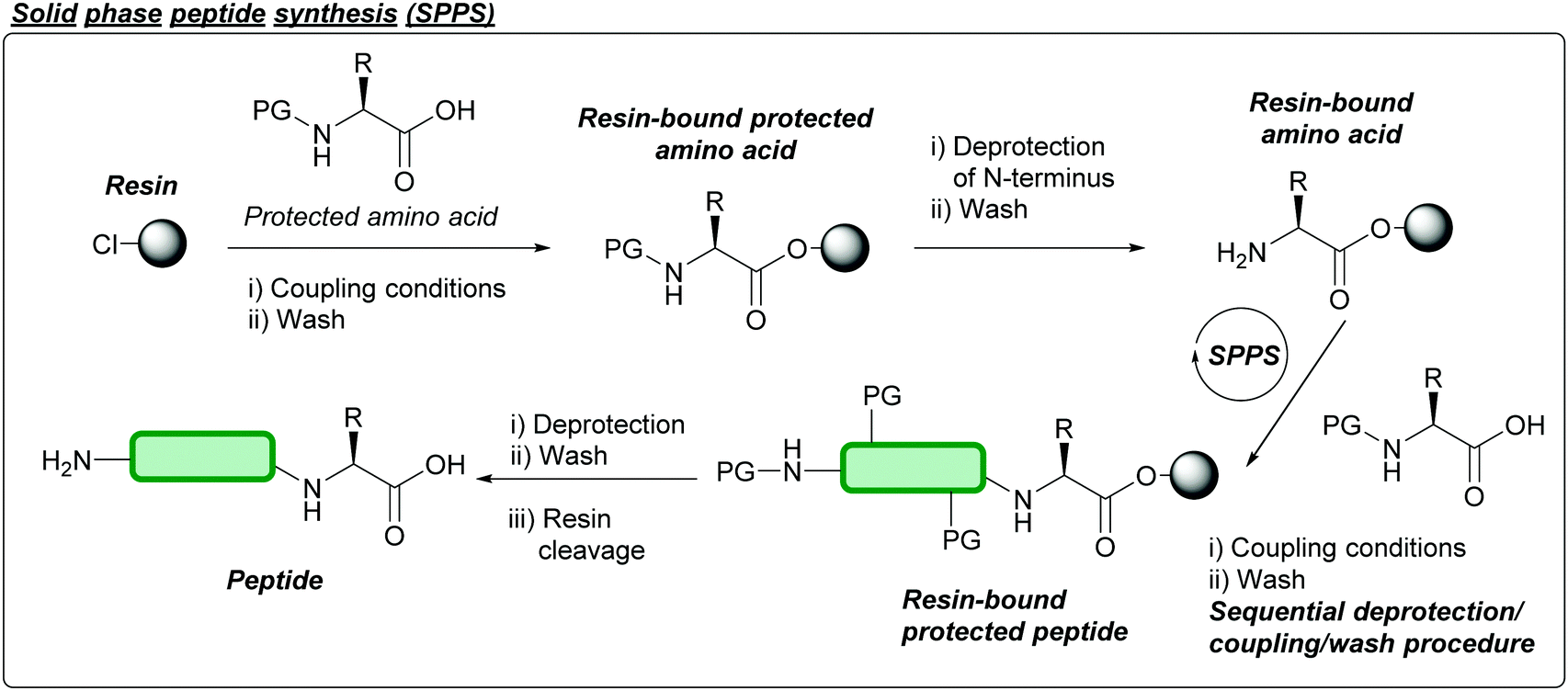 Cysteine protecting groups: applications in peptide and protein science ...