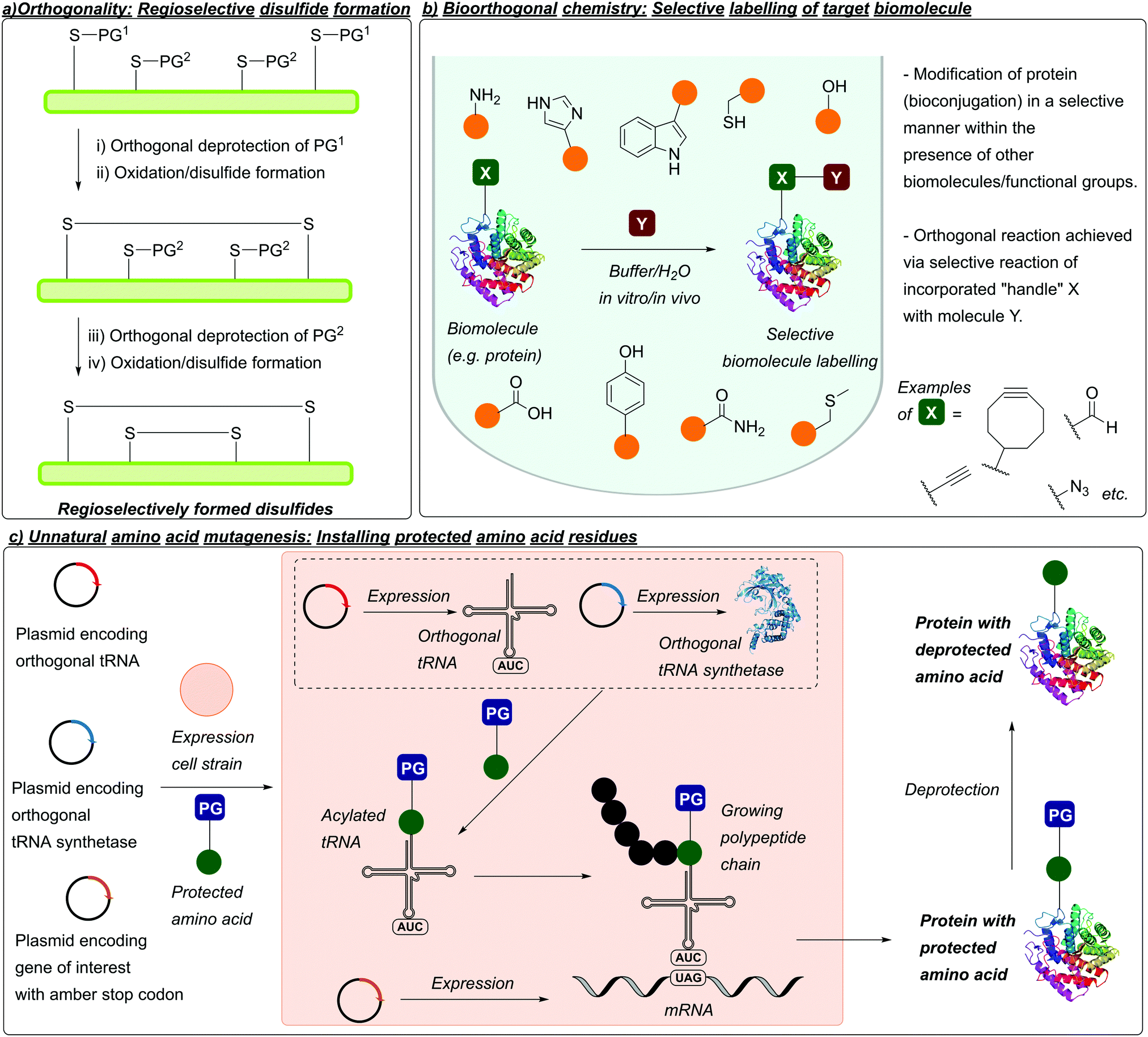 Cysteine protecting groups: applications in peptide and protein science ...