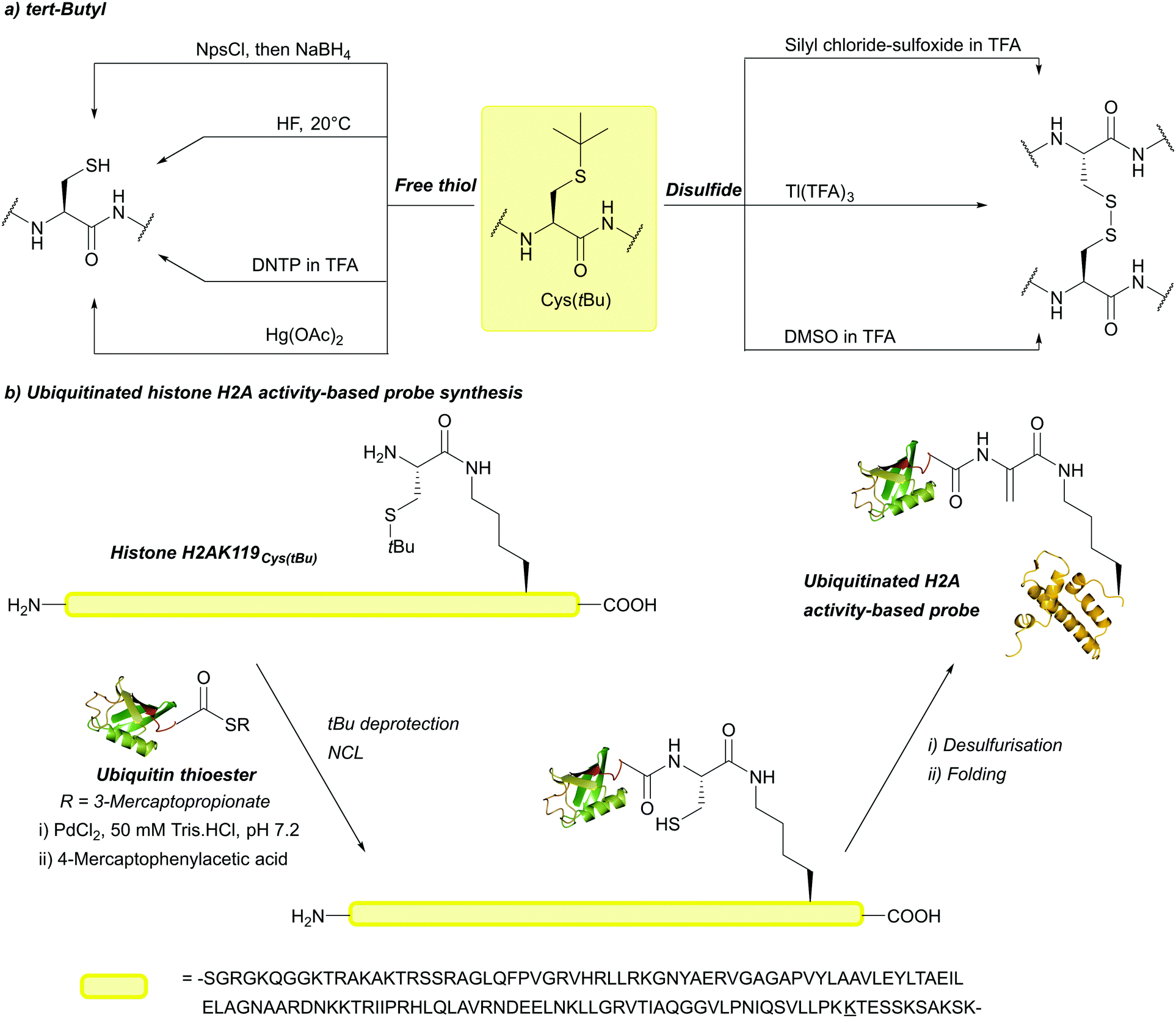 Cysteine protecting groups: applications in peptide and protein science ...