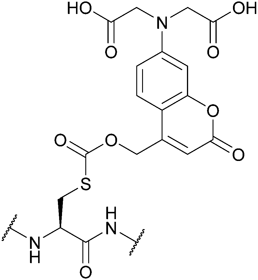 Cysteine protecting groups: applications in peptide and protein science ...