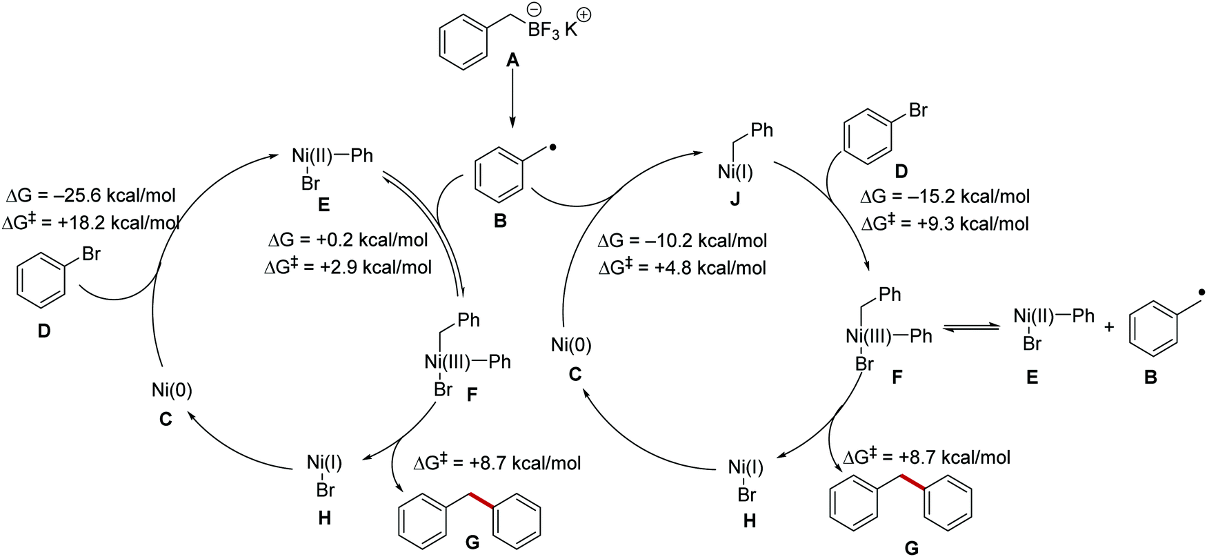 Recent advances in visible light-activated radical coupling reactions ...