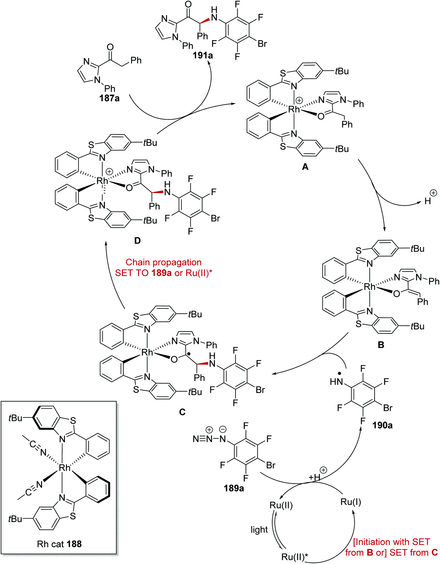 Recent advances in visible light-activated radical coupling reactions ...