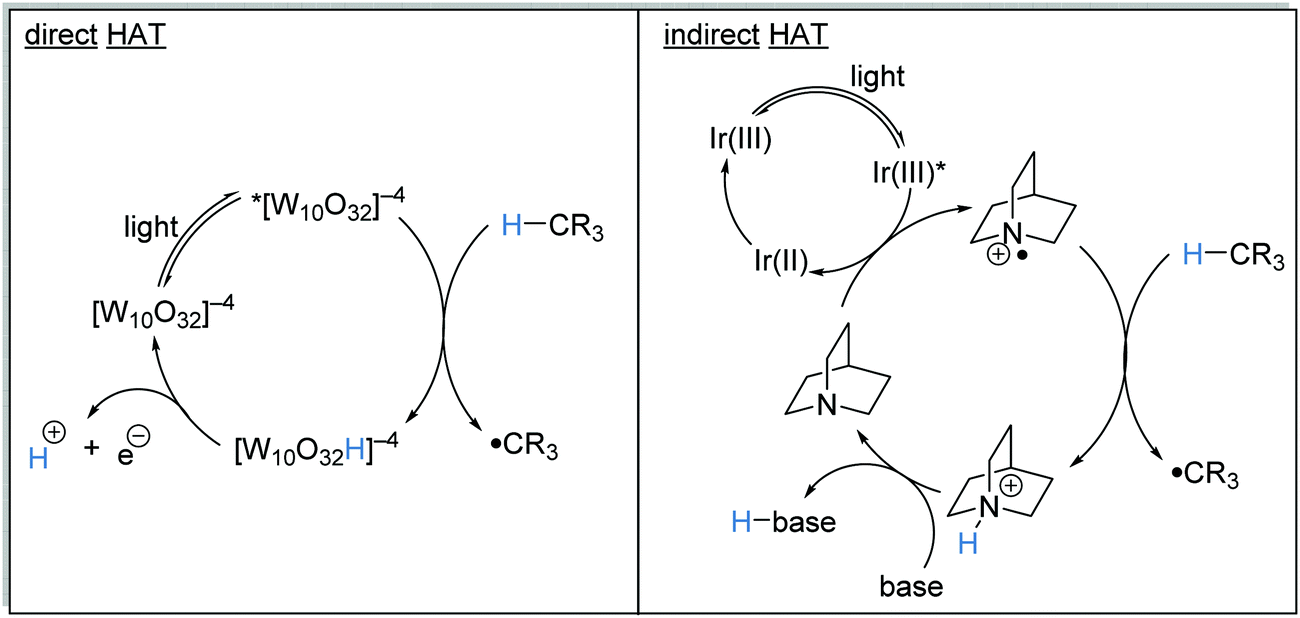 Recent advances in visible light-activated radical coupling reactions ...