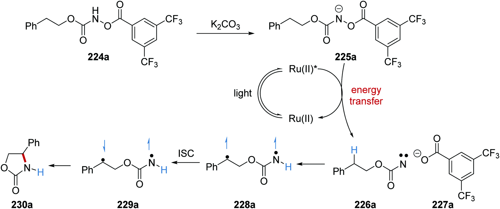 Recent advances in visible light-activated radical coupling reactions ...