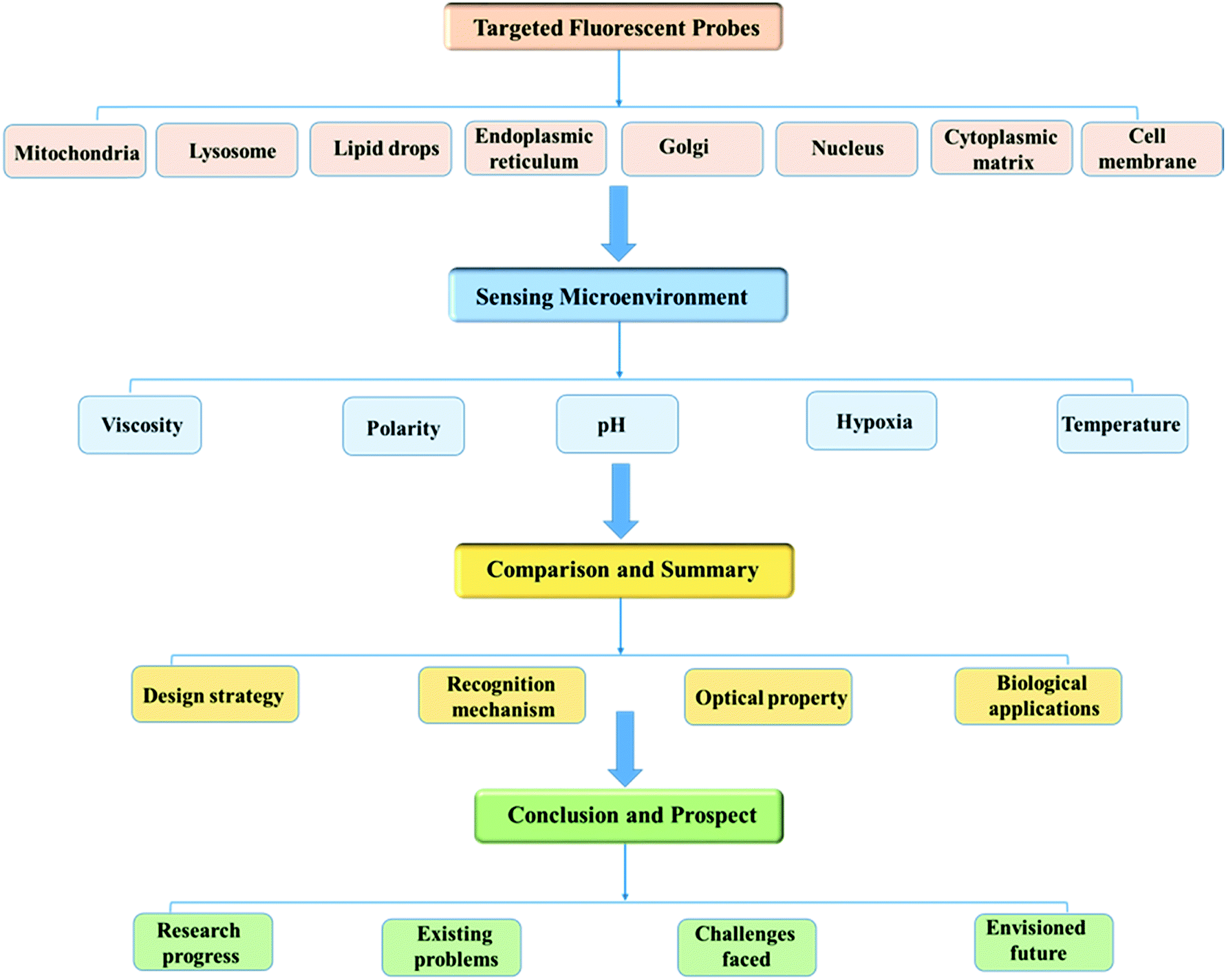 Small molecule based fluorescent chemosensors for imaging the ...