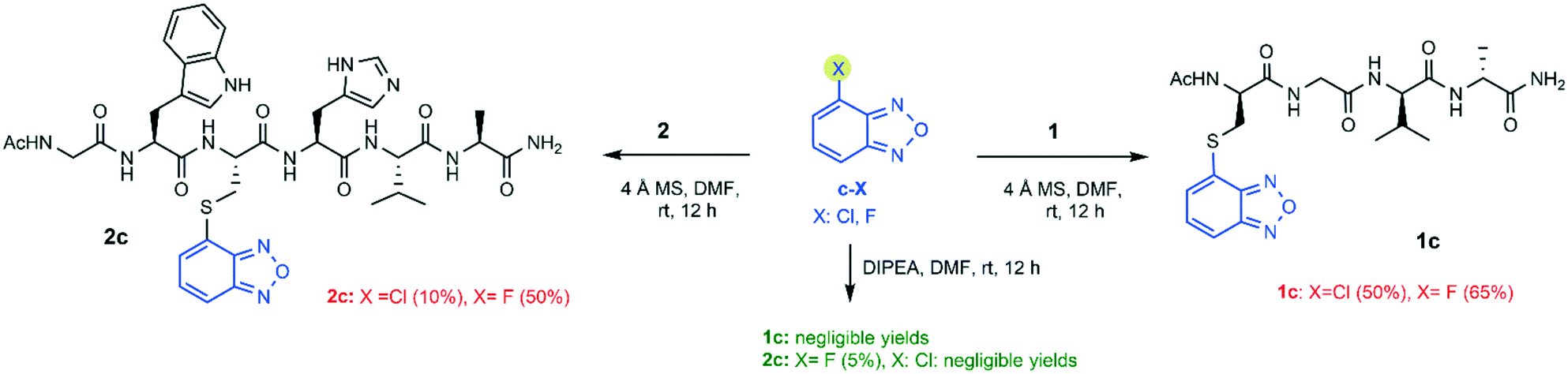 Thio-conjugation of substituted benzofurazans to peptides: molecular ...