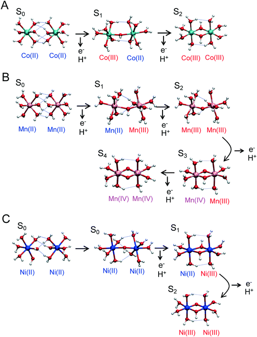 Early-stage formation of (hydr)oxo bridges in transition-metal ...