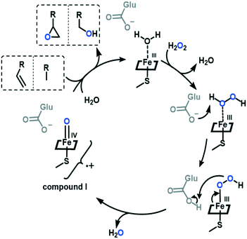 Simultaneous screening of multiple substrates with an unspecific ...