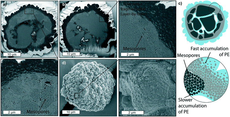 Early-stage particle fragmentation behavior of a commercial silica ...