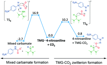 Mechanistic insights into carbamate formation from CO 2 and amines: the ...