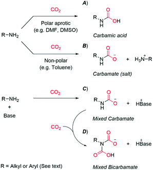 Mechanistic insights into carbamate formation from CO 2 and amines: the ...