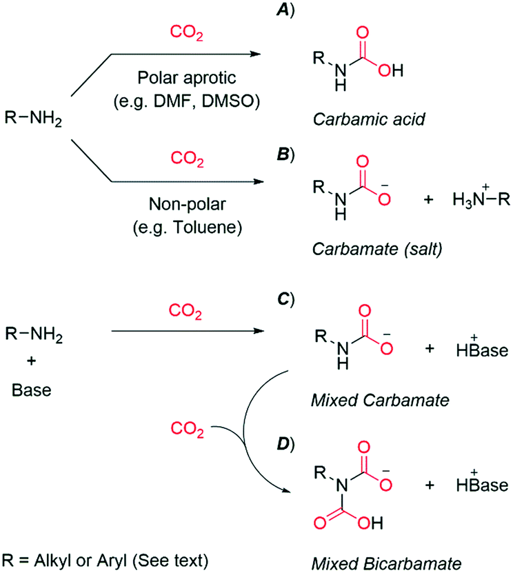 Mechanistic insights into carbamate formation from CO 2 and amines: the ...