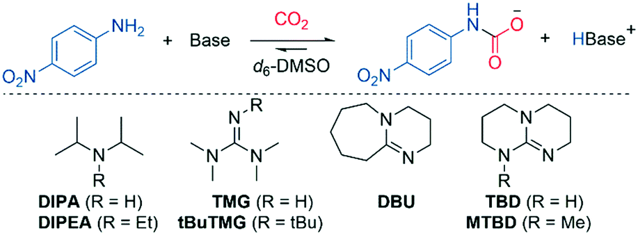 Mechanistic insights into carbamate formation from CO 2 and amines: the ...