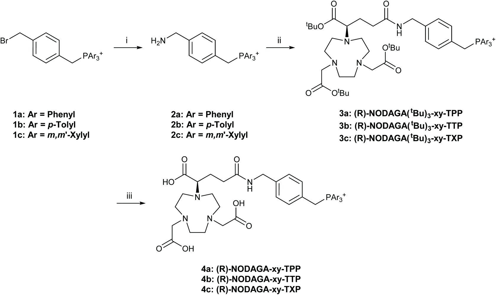 Synthesis and ex vivo biological evaluation of gallium-68 labelled ...