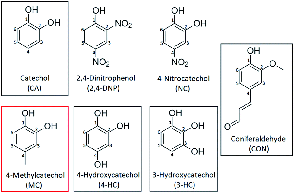 Effect of aromatic ring substituents on the ability of catechol to ...