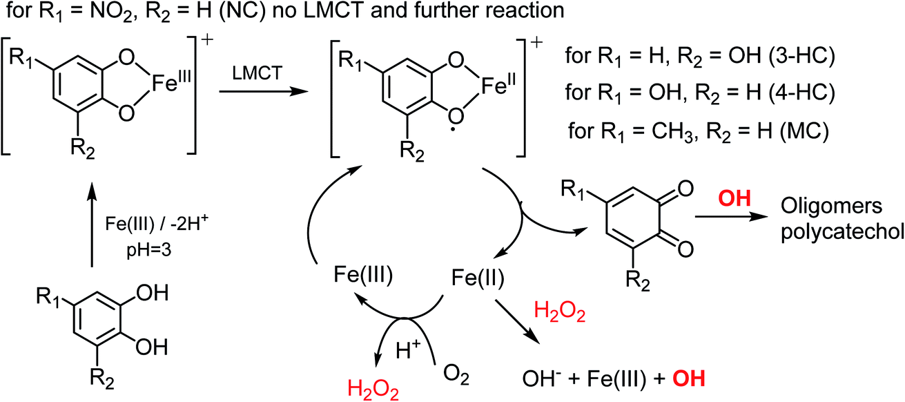 Effect of aromatic ring substituents on the ability of catechol to ...