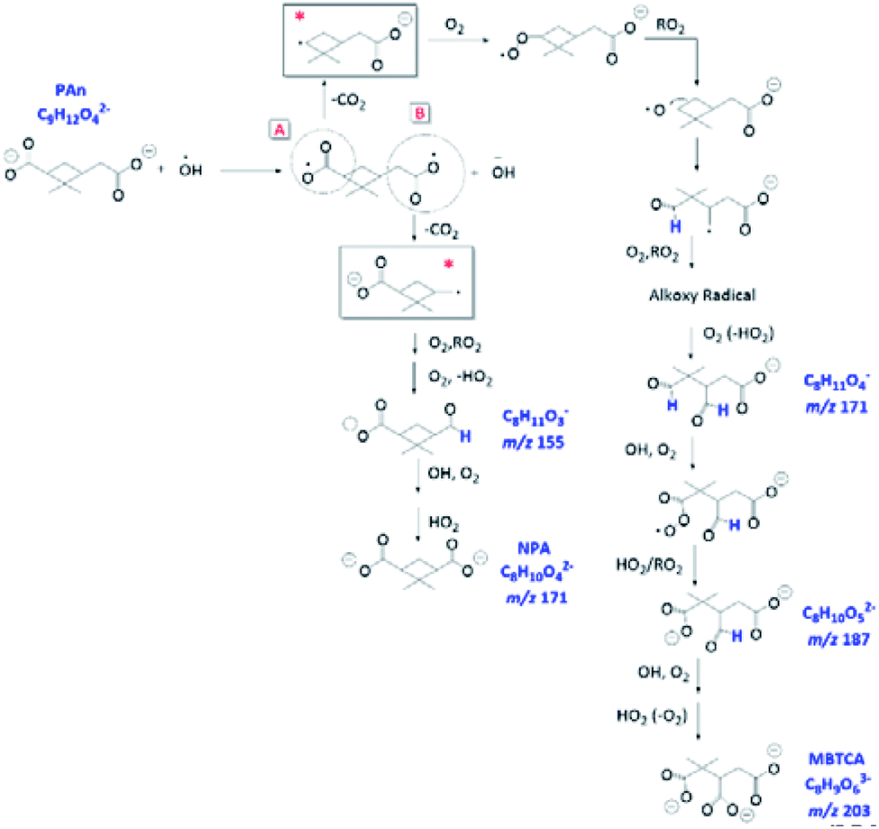 Photo-oxidation of pinic acid in the aqueous phase: a mechanistic ...
