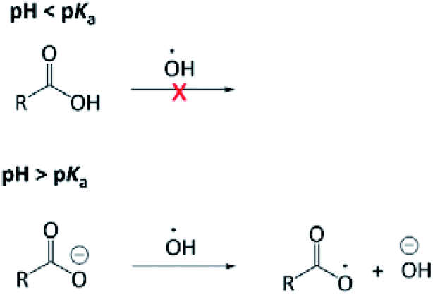 Photo-oxidation of pinic acid in the aqueous phase: a mechanistic ...