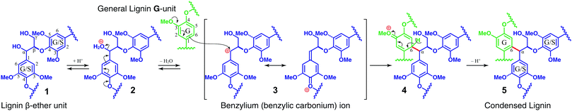 Guidelines for performing lignin-first biorefining - Energy ...