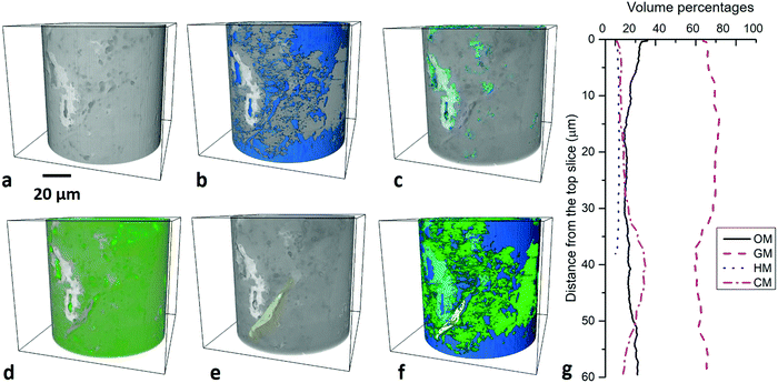 Linking multi-scale 3D microstructure to potential enhanced natural gas ...
