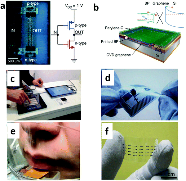 Up-scalable emerging energy conversion technologies enabled by 2D ...