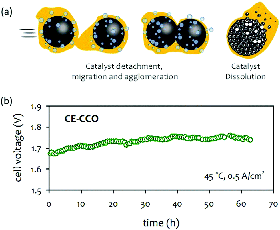 Durability of anion exchange membrane water electrolyzers - Energy ...