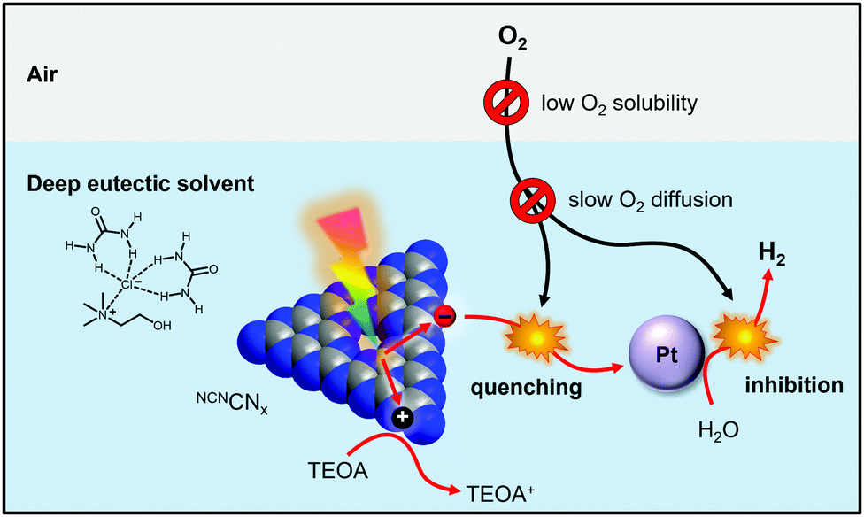 Solvent-controlled O 2 diffusion enables air-tolerant solar hydrogen ...