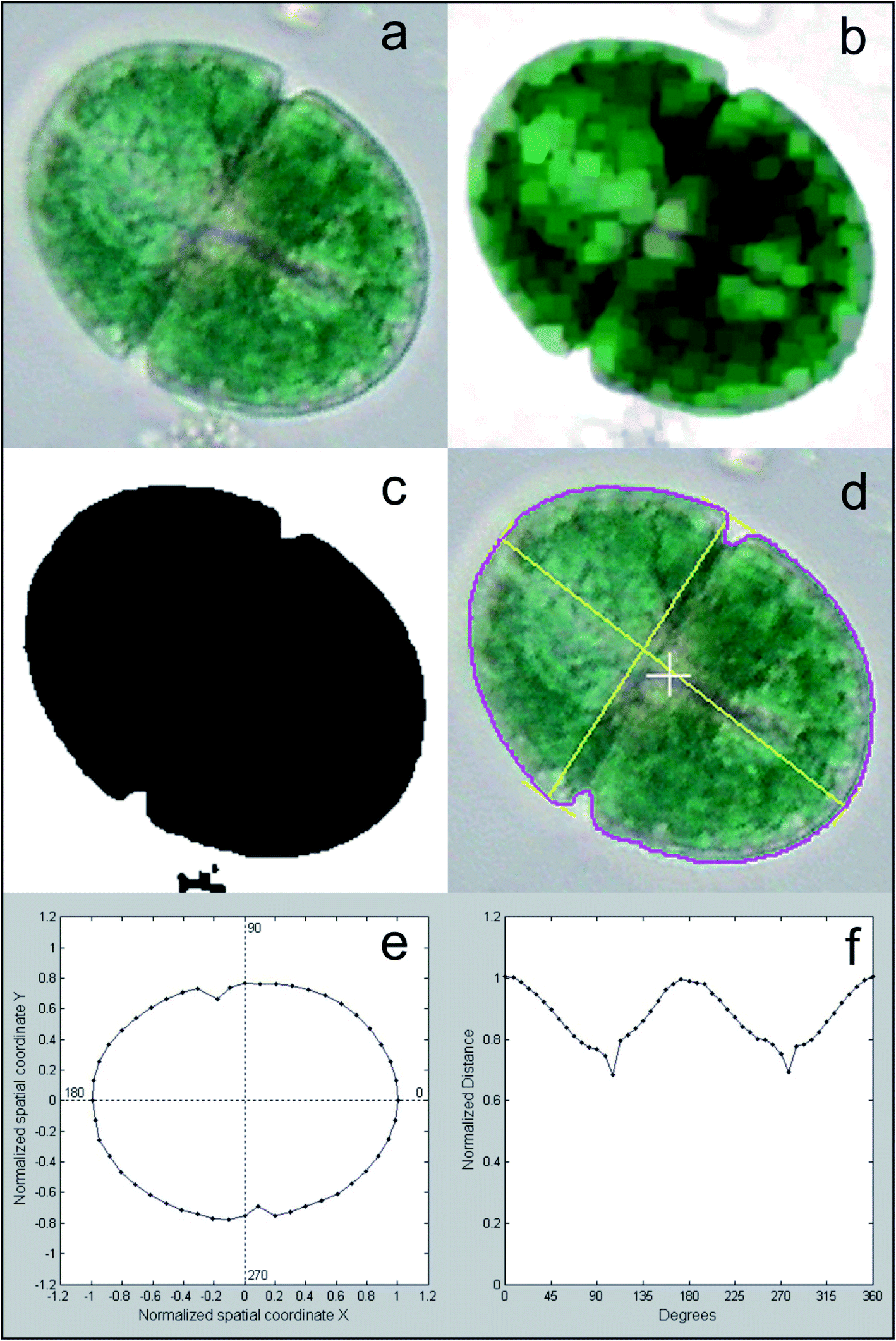 Water monitoring by means of digital microscopy identification and ...