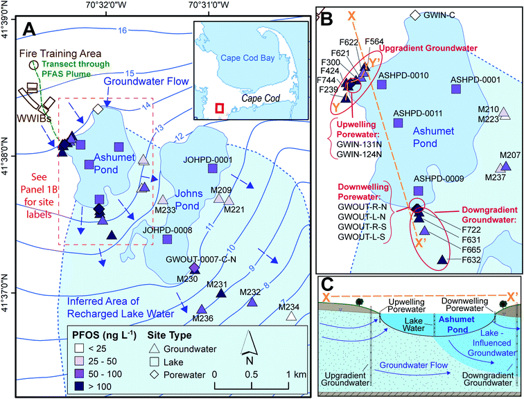 Surface-water/groundwater boundaries affect seasonal PFAS ...