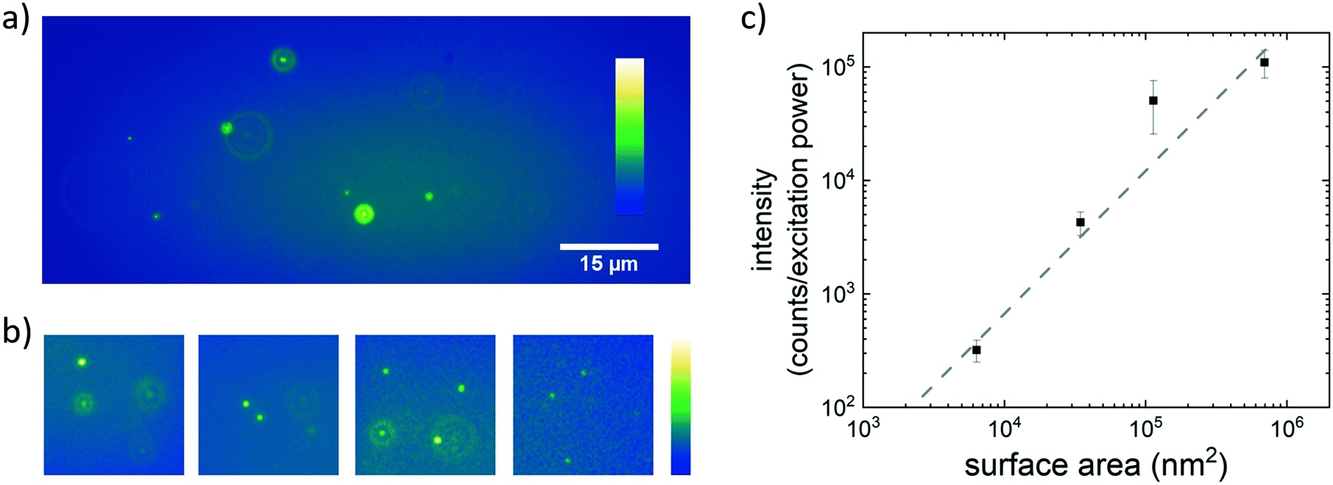 Nanoplastic sizes and numbers: quantification by single particle ...