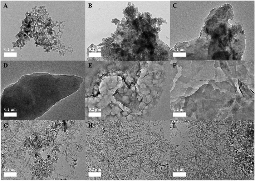 Mechanisms and effects of zinc oxide nanoparticle transformations on ...