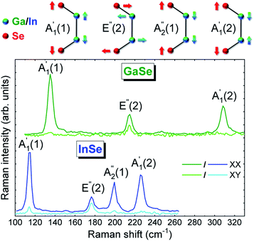 Raman spectroscopy of GaSe and InSe post-transition metal chalcogenides ...