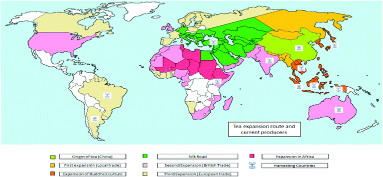 Green and white teas as health-promoting foods - Food & Function (RSC ...